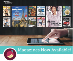 Home - Nevins Library